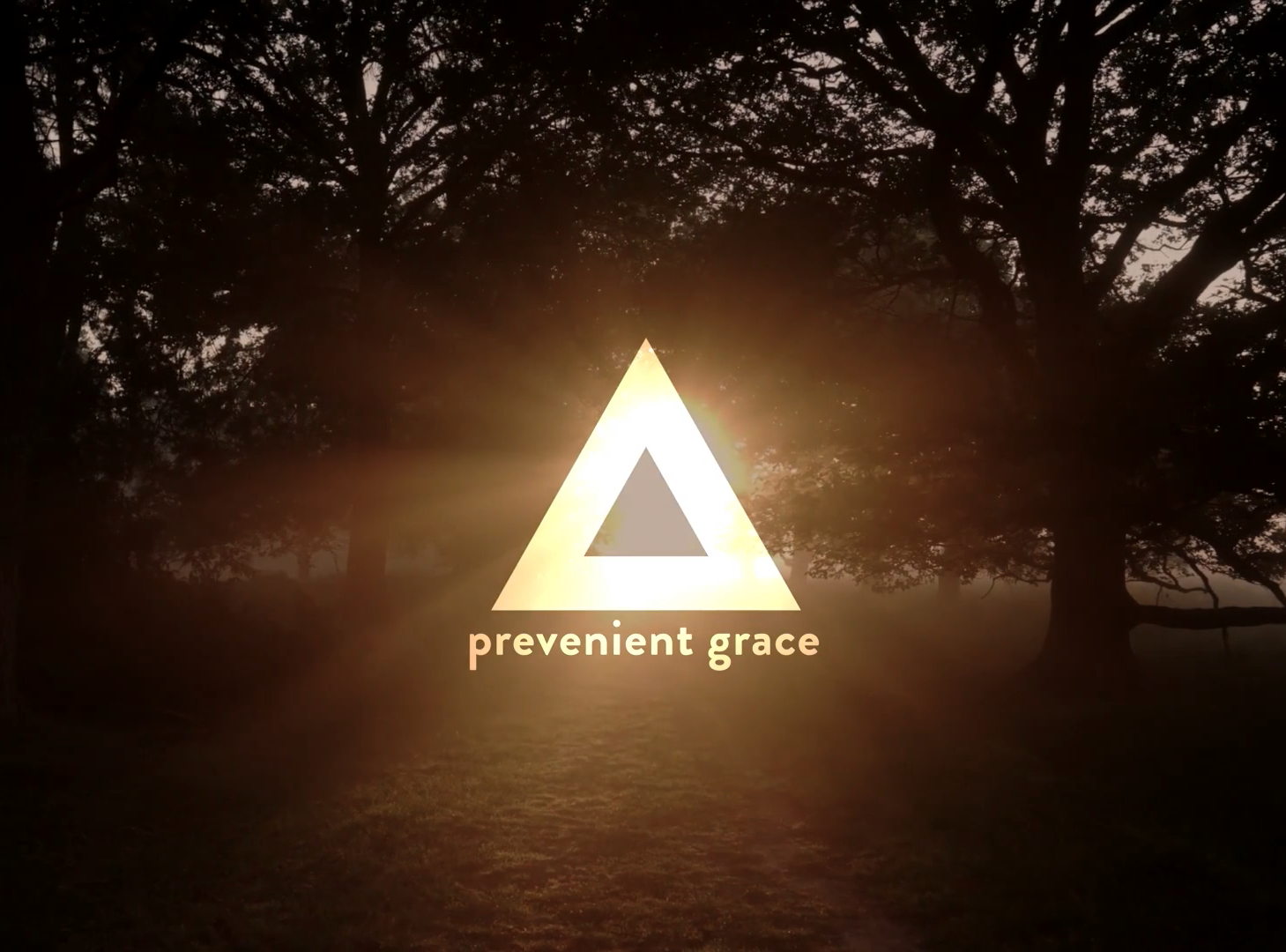 Journey of Grace Testimonials: Video Resources - Prevenient Grace ...